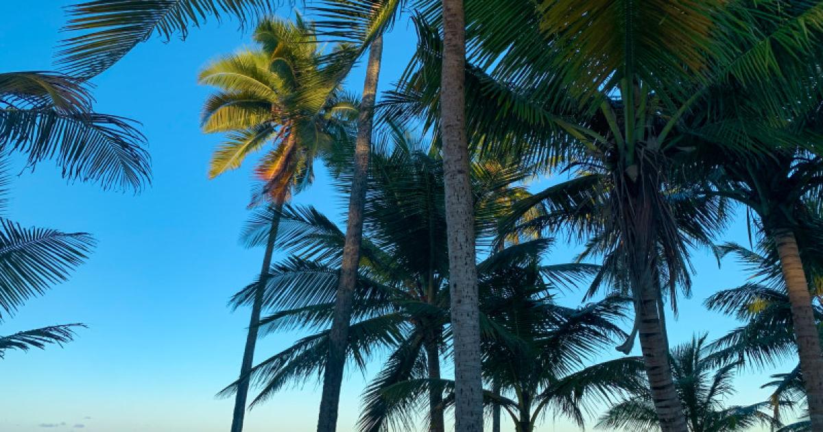 Playa Aviones | Discover Puerto Rico