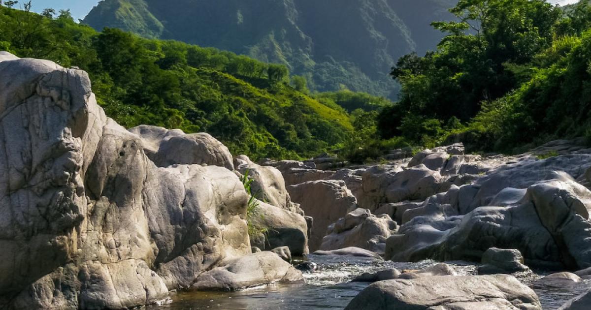 Cañón Blanco | Discover Puerto Rico