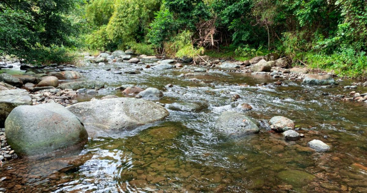 Charco Frío - Rio Tinajas | Discover Puerto Rico