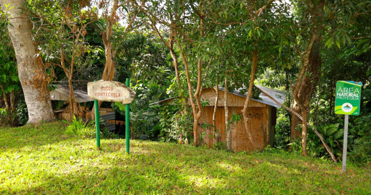 Bosque Estatal Monte Choca | Discover Puerto Rico