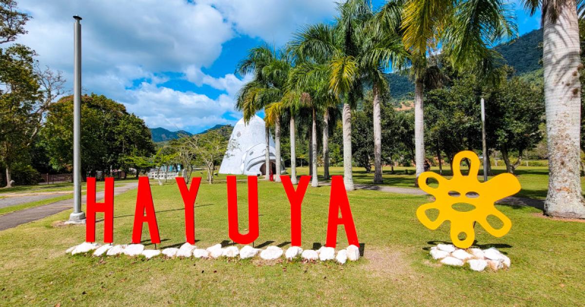 Museo El Cemí | Discover Puerto Rico