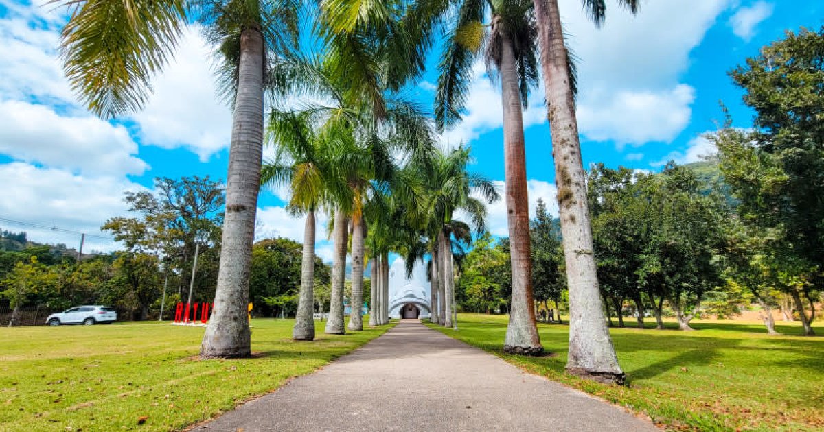 Museo El Cemí | Discover Puerto Rico
