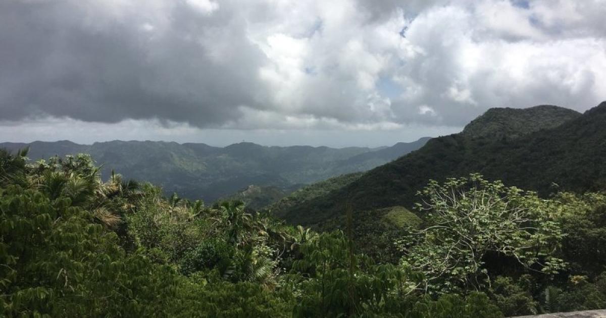 Cerro de Punta | Discover Puerto Rico