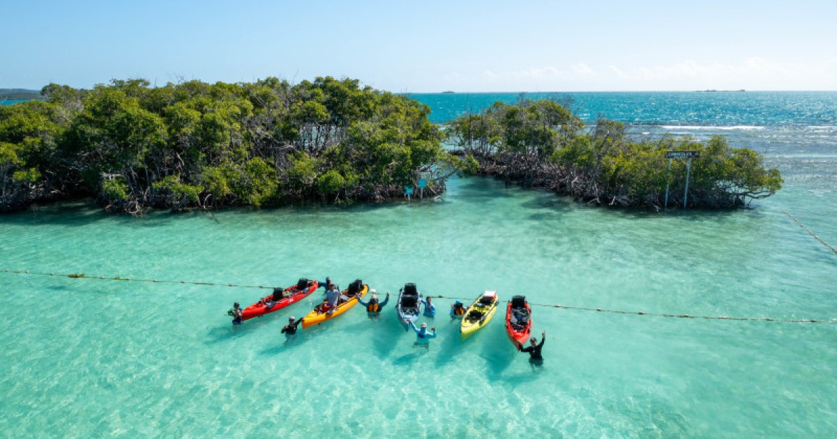 Kayaking Parguera Tours | Discover Puerto Rico