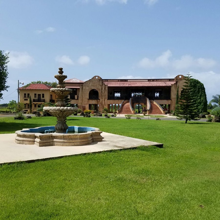 Following the Trail of Superherores: A Guide to Blue Beetle and Wakanda ...