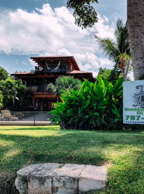 Farm to Flame: How Chef Xavier Pacheco Honors Puerto Rico's Gastronomy ...